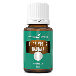 Eucalyptus Radiata Essential Oil - Momaste